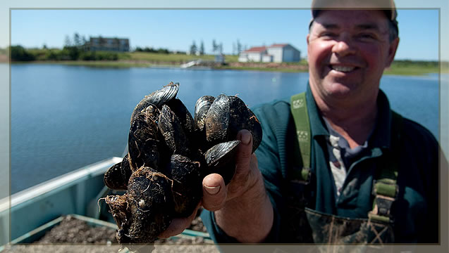 Prince Edward Aqua Farms Processing Facility - PEI Shellfish Processing ...